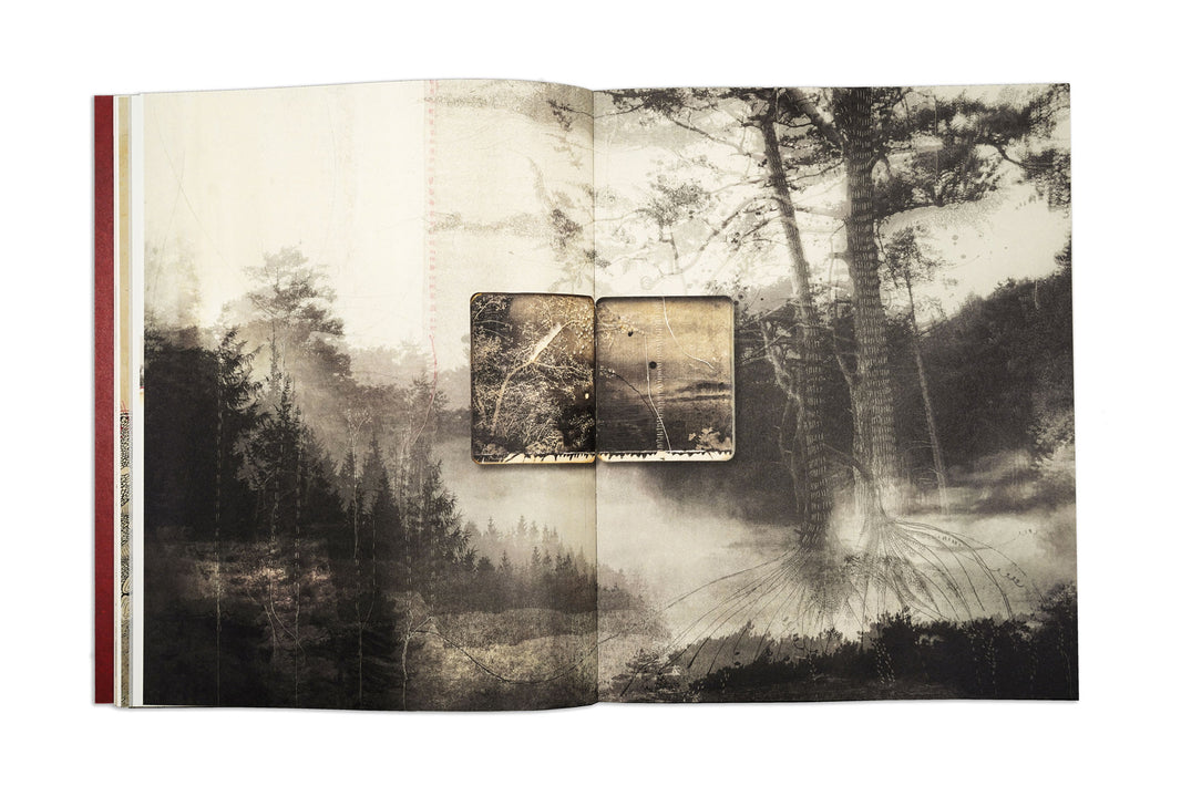 Jackie Mulder Art Photograpy